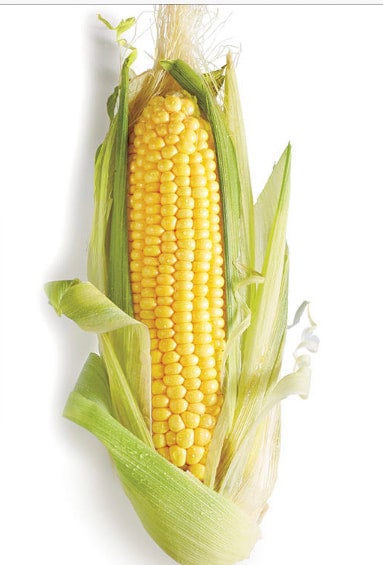 Organic Sweetcorn on the Cob | The Hatchery Farm Shop