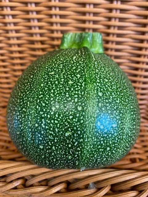 Organic Round Courgette | The Hatchery Farm Shop